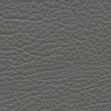 Natuzzi Italia Melody Sofa | IDI